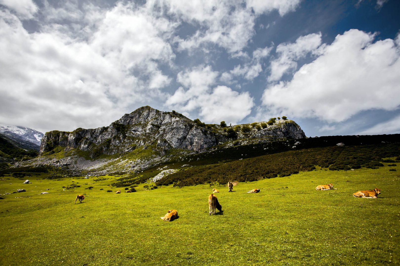 "paisaje bucólico" - Picos de Europa
